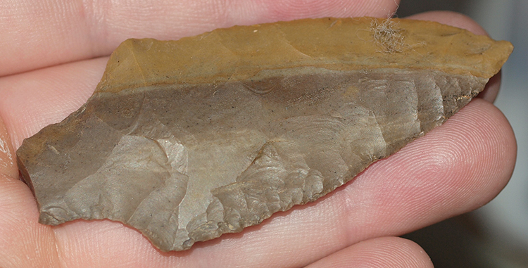 For Sale Page 4- prehistoricartifacts.com